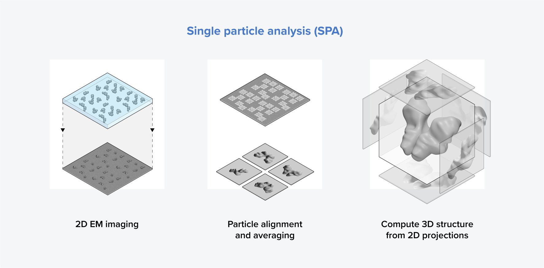 What is the difference between cryo-EM and cryo-ET?